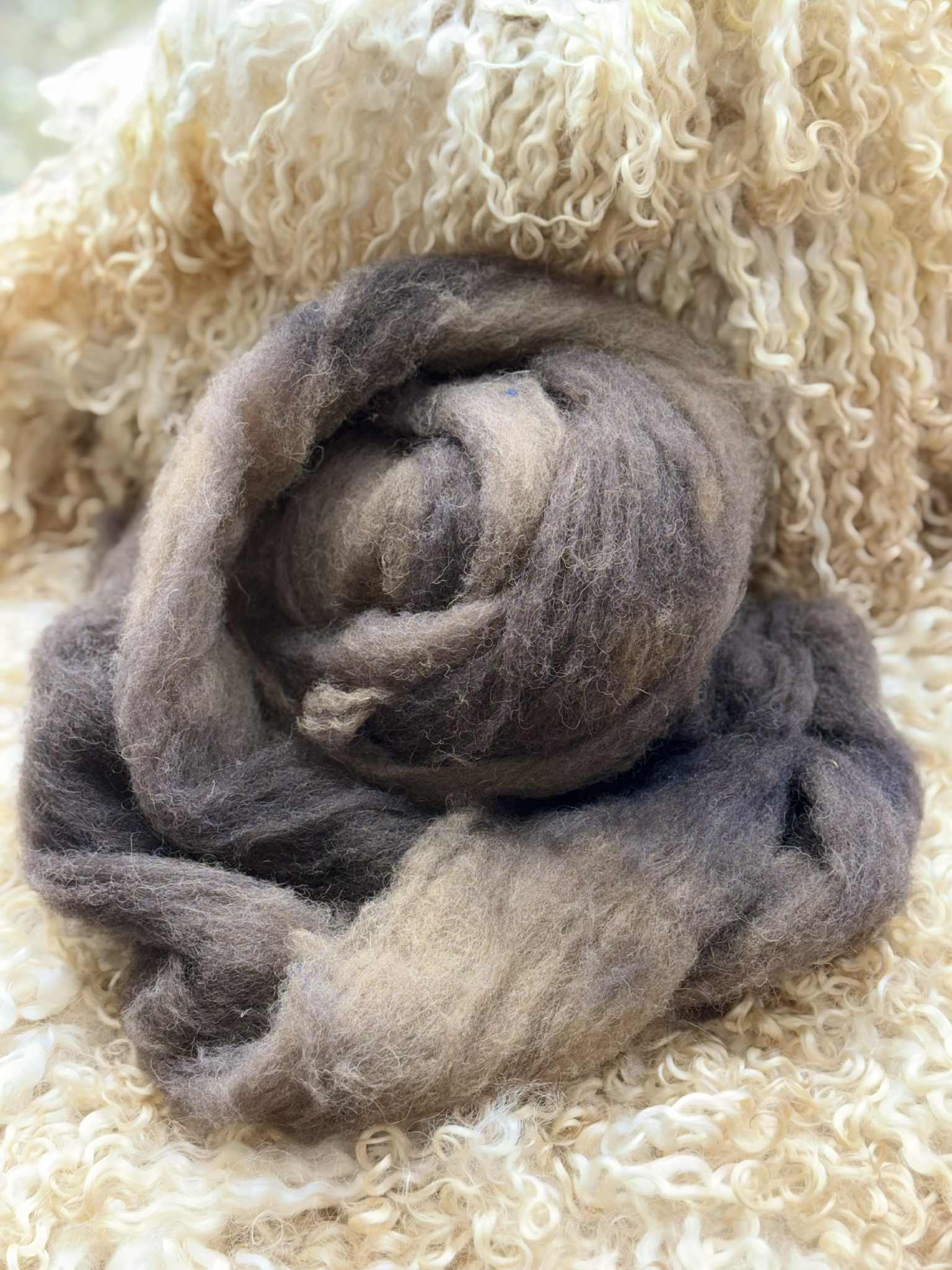 Ethical Carded Wool – Woodland - Sheep Sanctuary