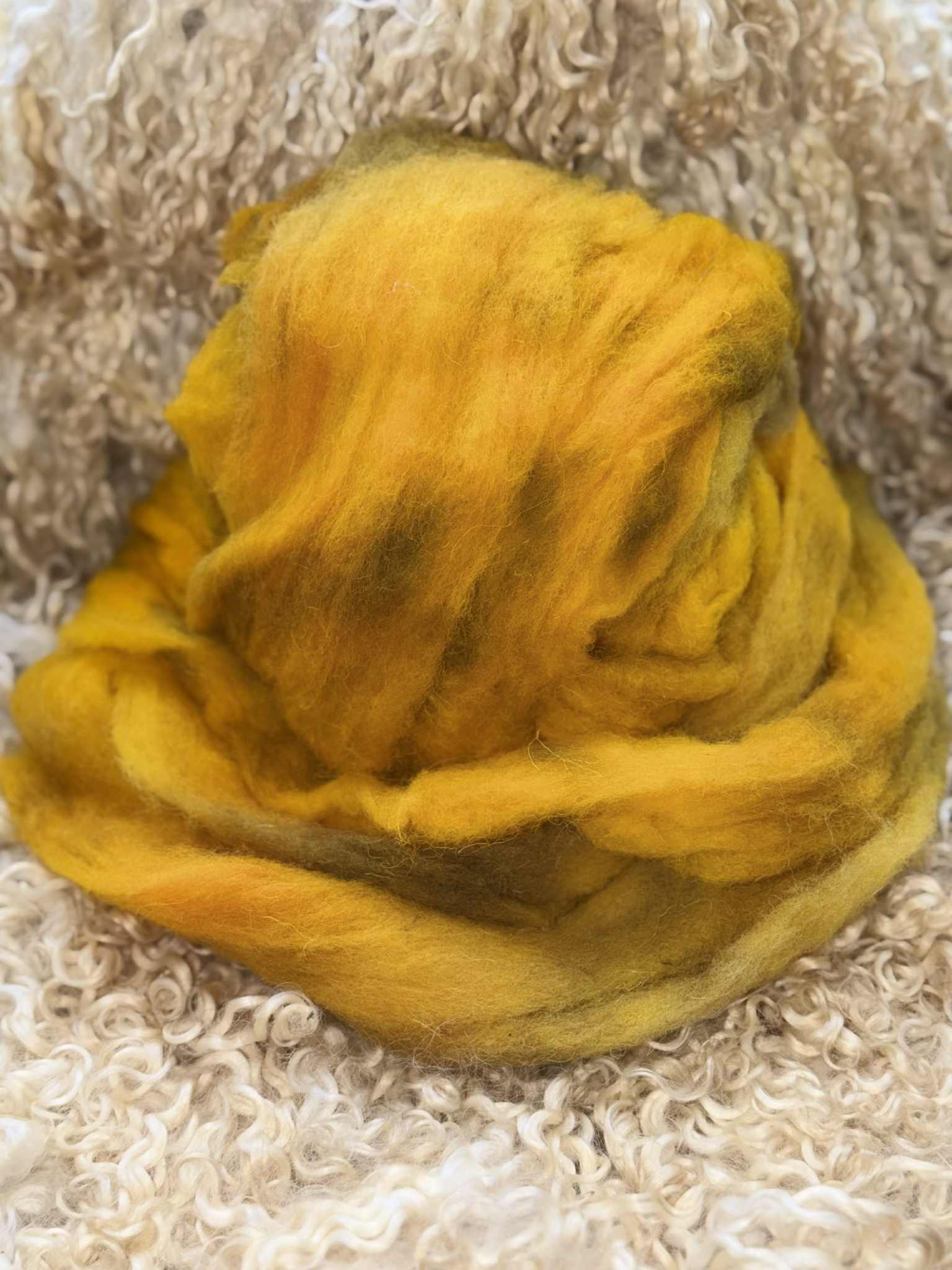 Ethical Carded Wool – Mustard Mix - Sheep Sanctuary